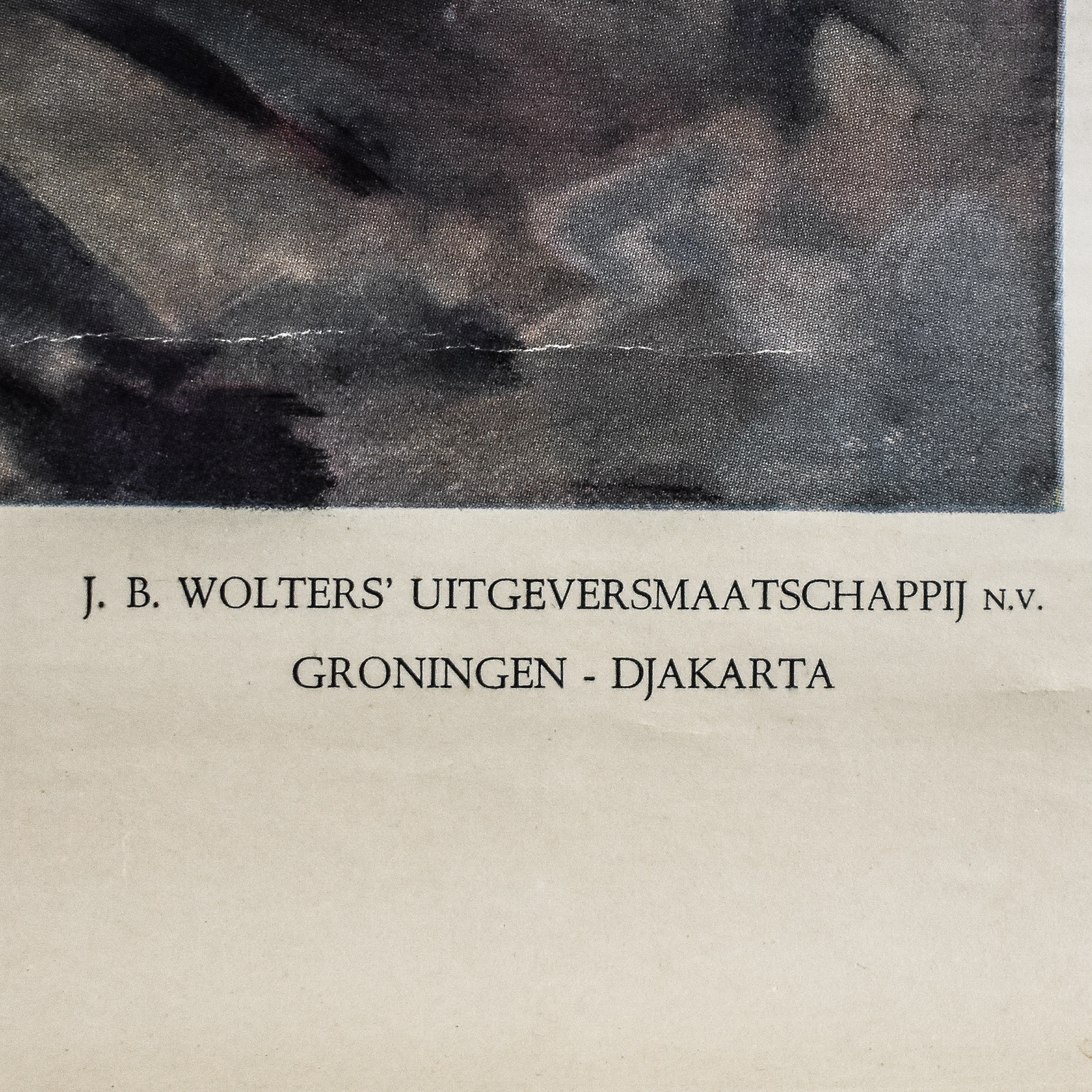 vintage-50s-dutch-zoology-biology-school-chart-poster-polar-animals ...